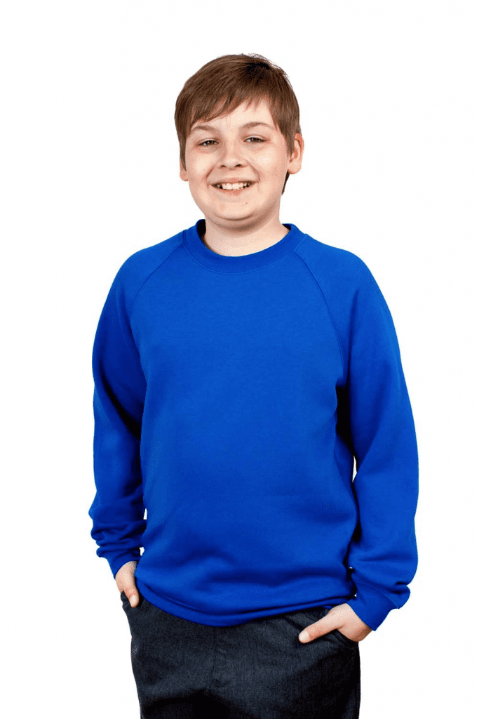 Dark Royal Sweatshirt - Identity